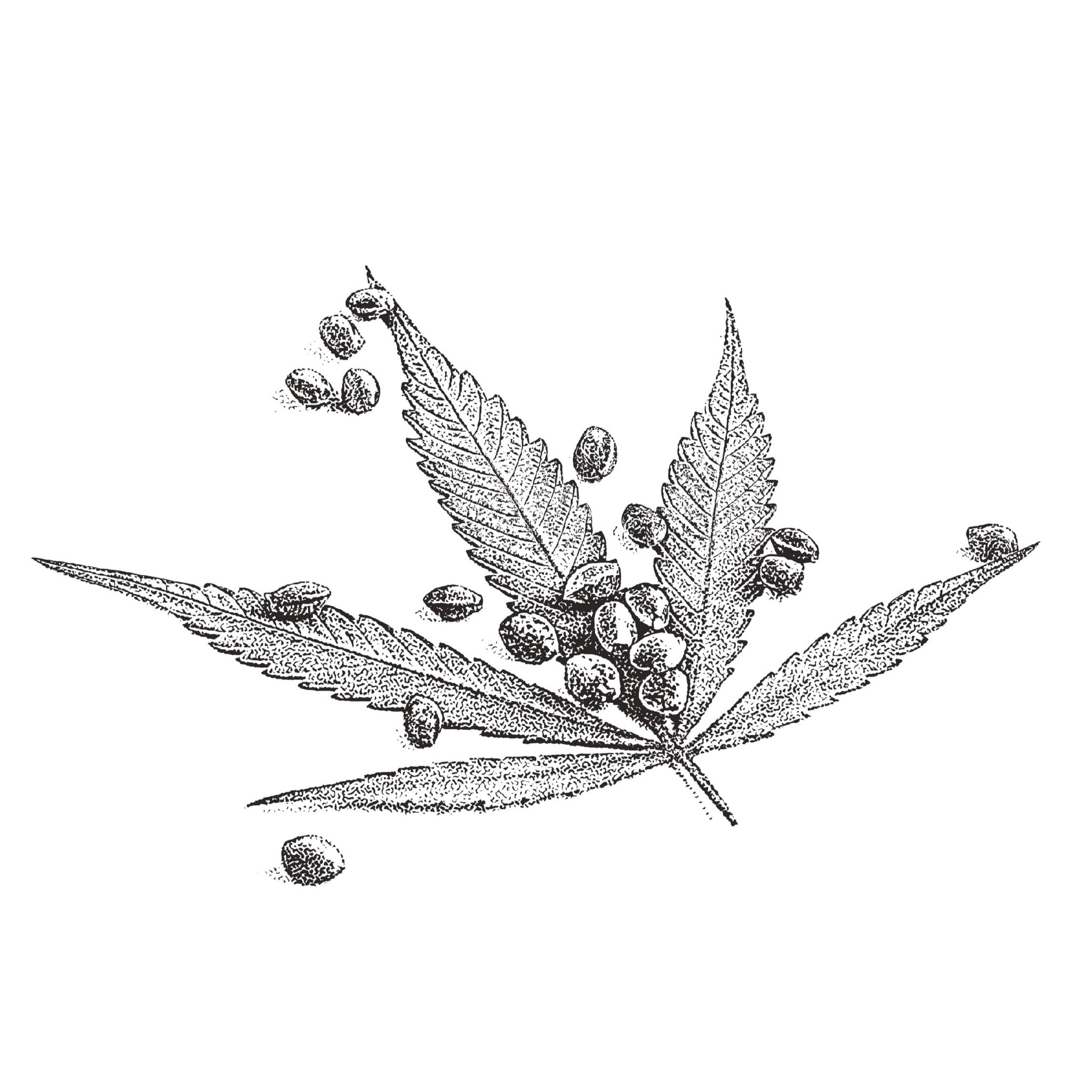 ahum:organic journal2